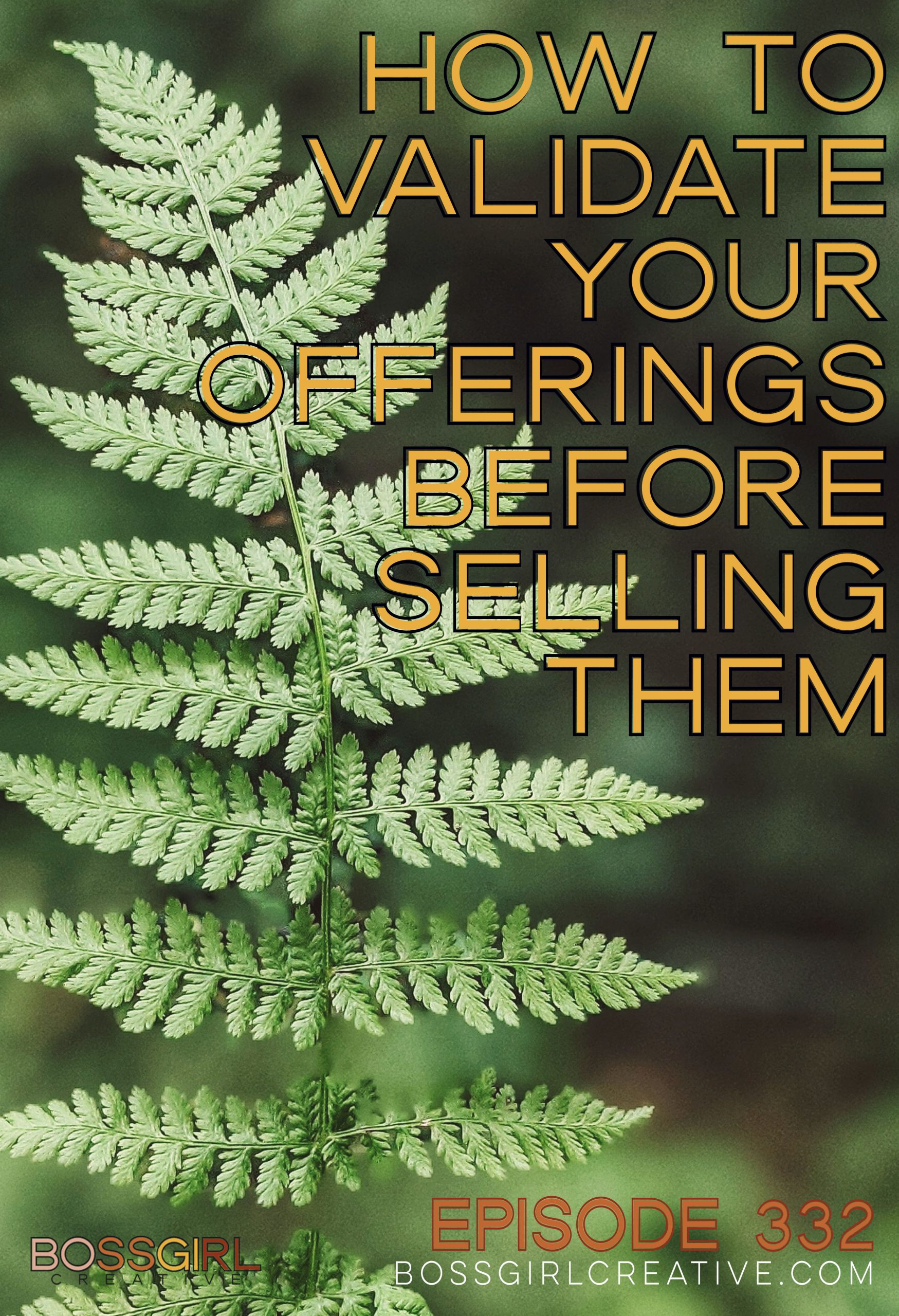EPISODE 332 HOW TO VALIDATE YOUR OFFERINGS BEFORE SELLING THEM Boss 